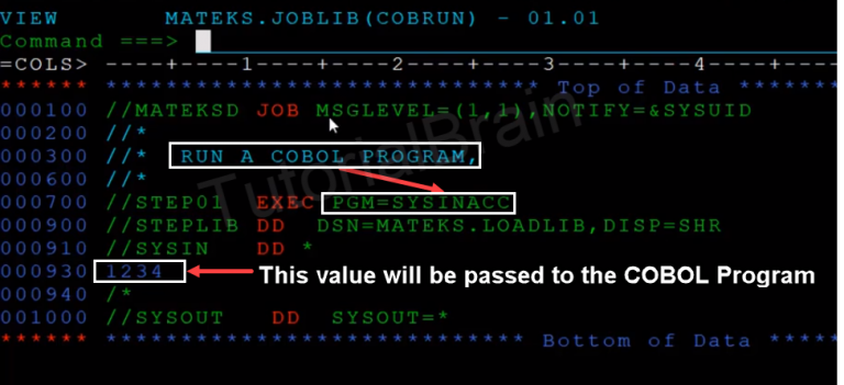 COBOL ACCEPT Statement with Examples— TutorialBrain