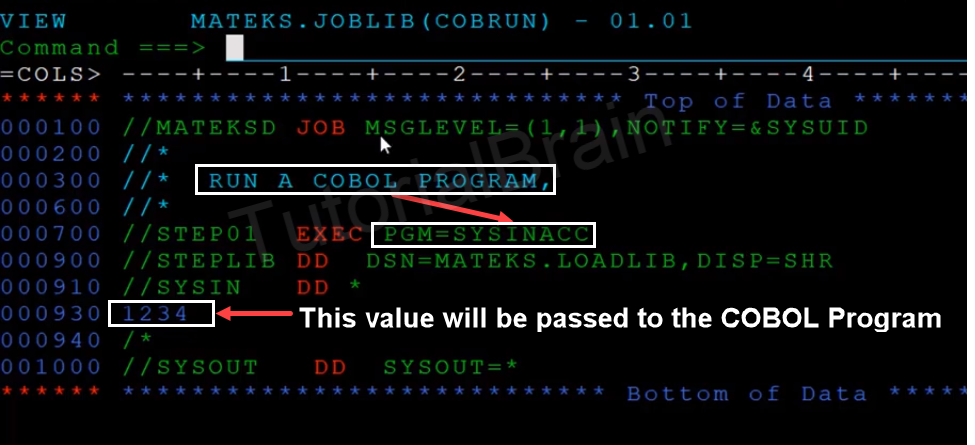 Cobol Accept Statement With Examples— Tutorialbrain