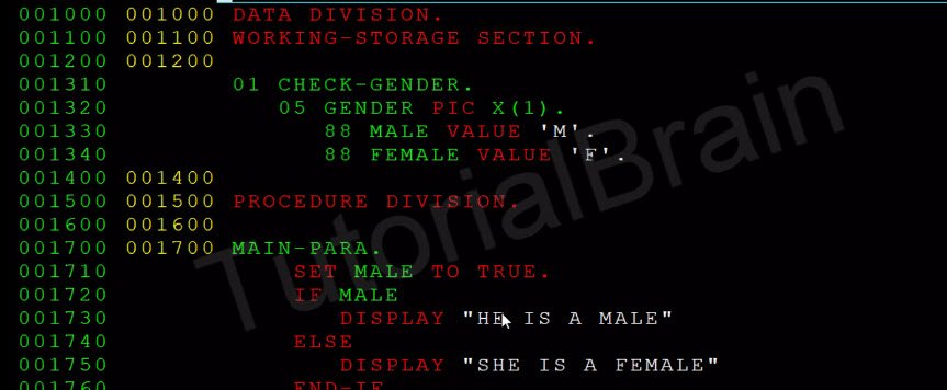 Cobol If Else Statement Tutorialbrain