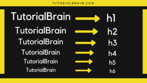 HTML Headings and paragraphs Tutorial— TutorialBrain