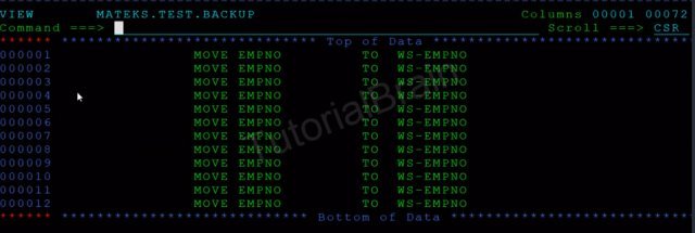 JCL DISP Parameter — TutorialBrain