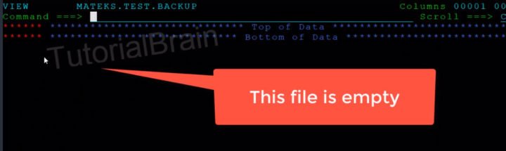 JCL DCB Parameter — TutorialBrain