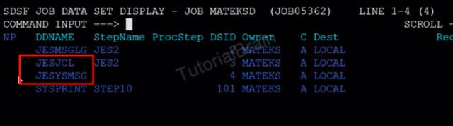JCL MSGLEVEL Parameter Example— TutorialBrain