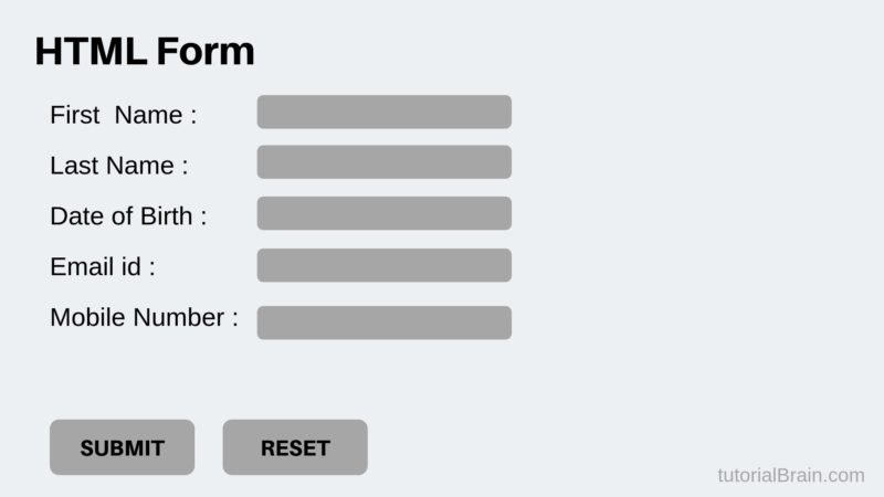 HTML Forms Tutorial — How to create forms in HTML — TutorialBrain
