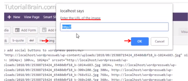 How to add an image in WordPress using HTML Code — TutorialBrain