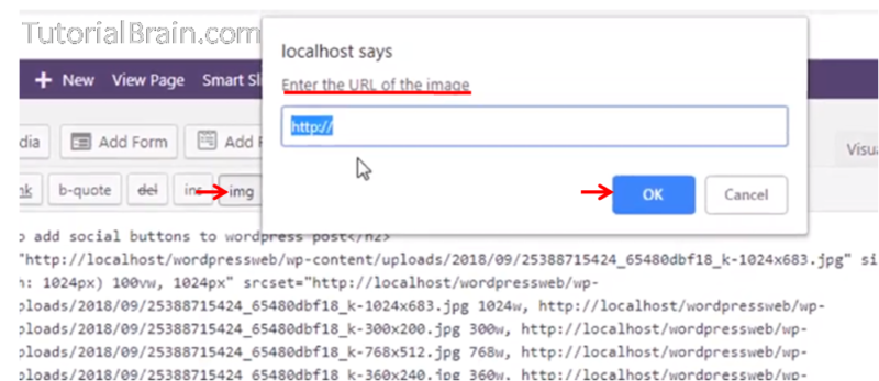 How to add an image in WordPress using HTML Code — TutorialBrain