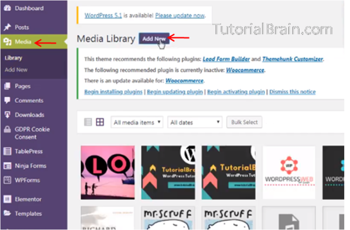 How to add an image in WordPress using HTML Code — TutorialBrain