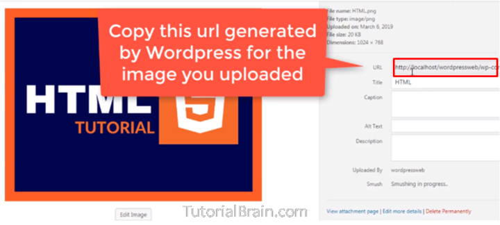 How to add an image in WordPress using HTML Code — TutorialBrain