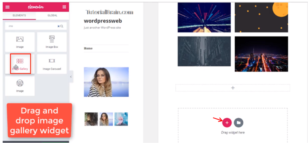 How to create an Image Gallery in WordPress — TutorialBrain