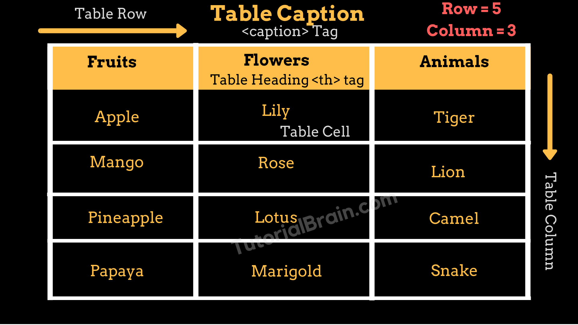 Css Tables Tutorialbrain