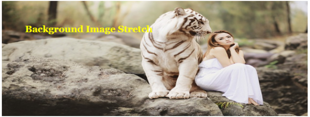 CSS Background — TutorialBrain