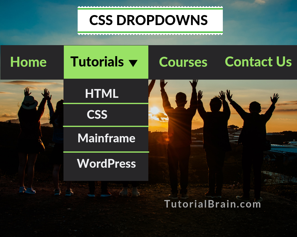 Dropdown Menu Css Tutorialbrain