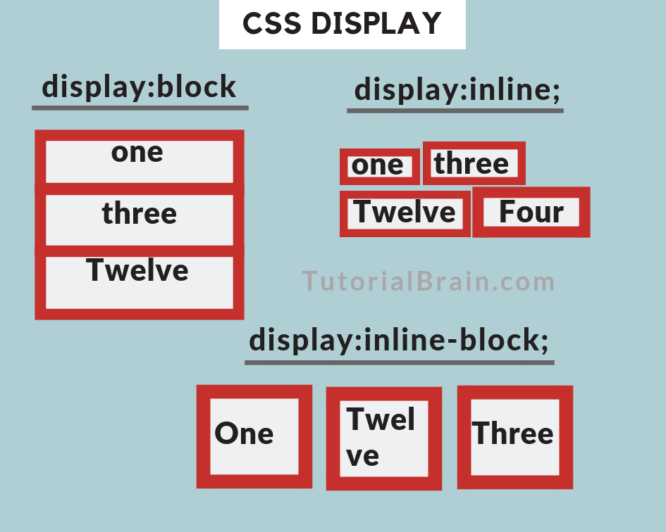 Css Display Tutorialbrain