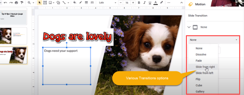 Google Slides - Tips and Tricks — TutorialBrain