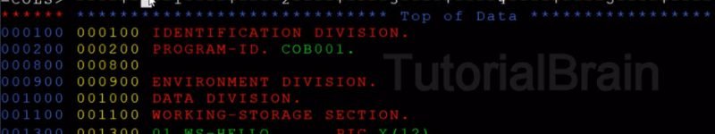 COBOL Coding Rules — TutorialBrain